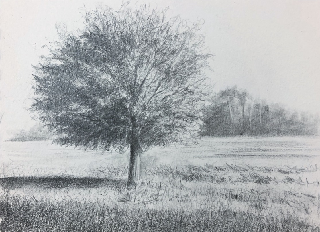 Activities hosted by local organisations at Brampton Museum – Newcastle ...